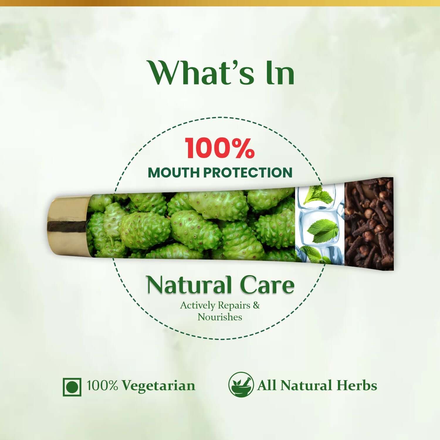 Noni Toothpaste | Noni 24 Hour Oral Care Toothpaste Pack Of 2