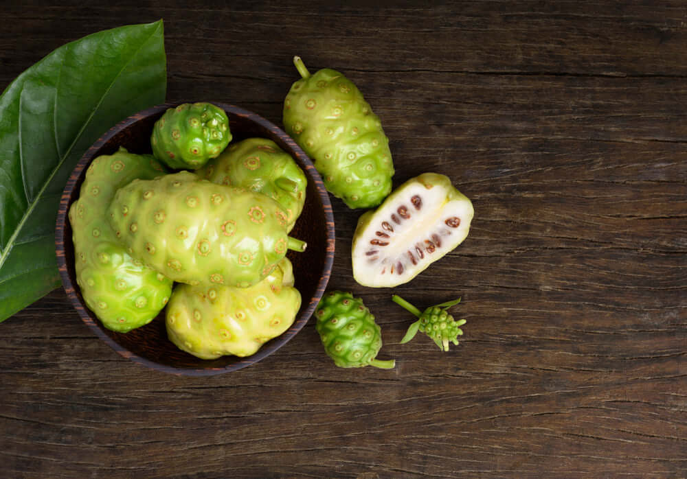 Buy Noni Products Online to Boost Immunity - Dave's Noni